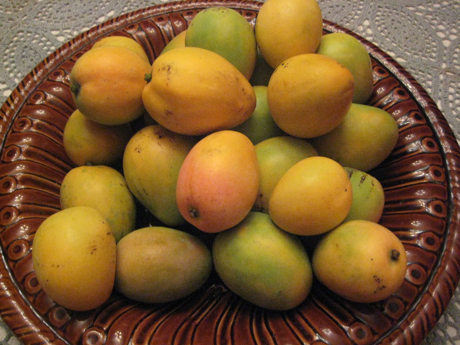 Jamaica Fruits